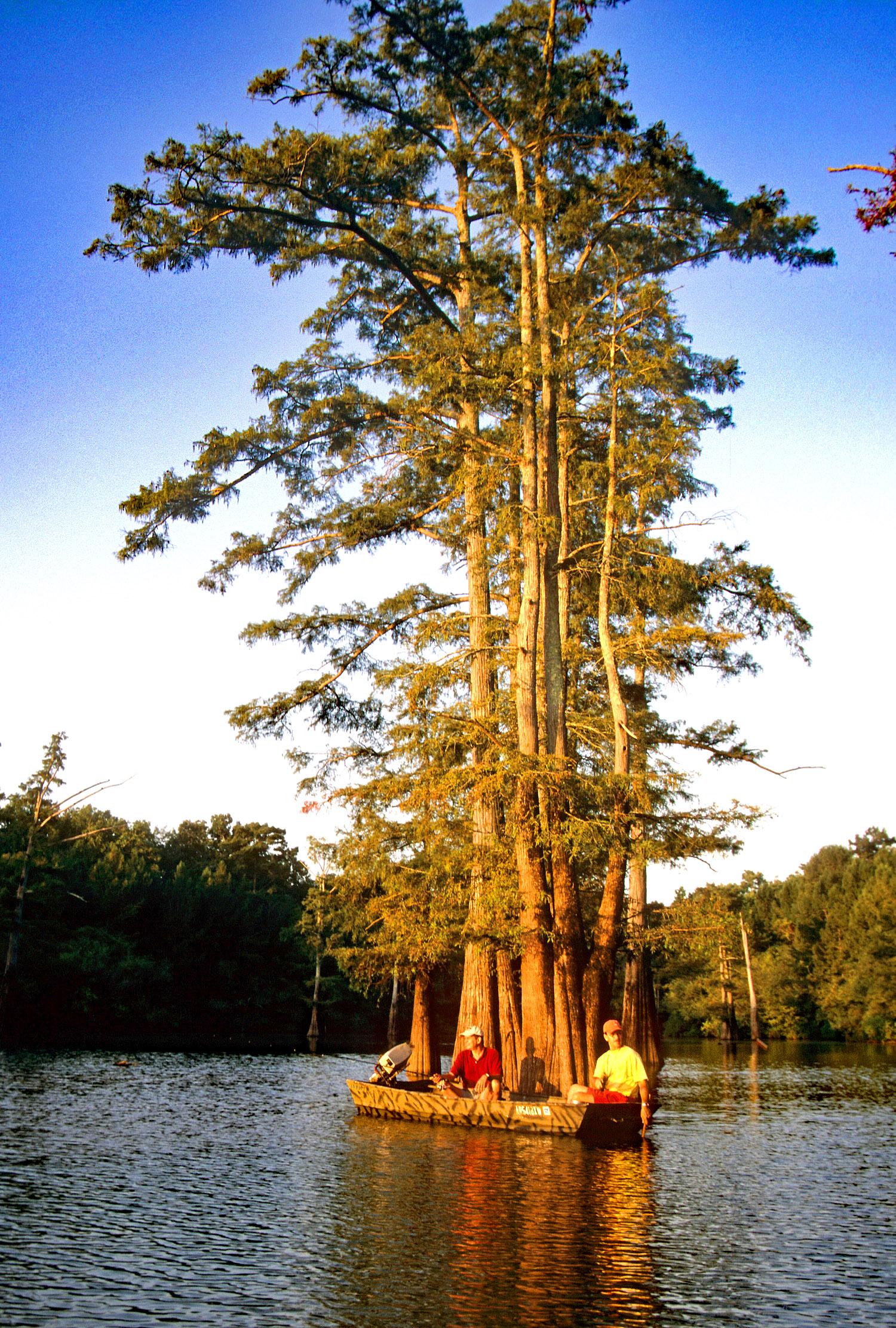 Arkansas' White River National Wildlife Refuge | CrappieNOW