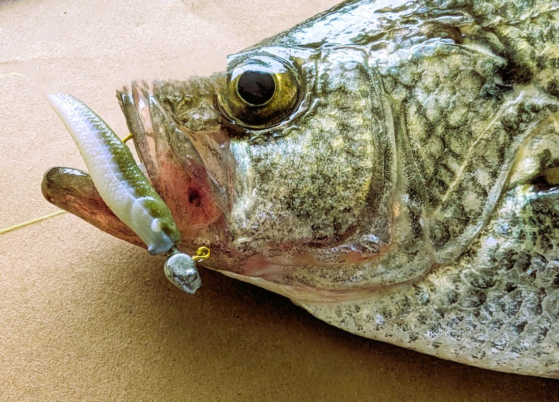 Berkley Gulp! Alive! Minnow | July 2024 Lure of the Month