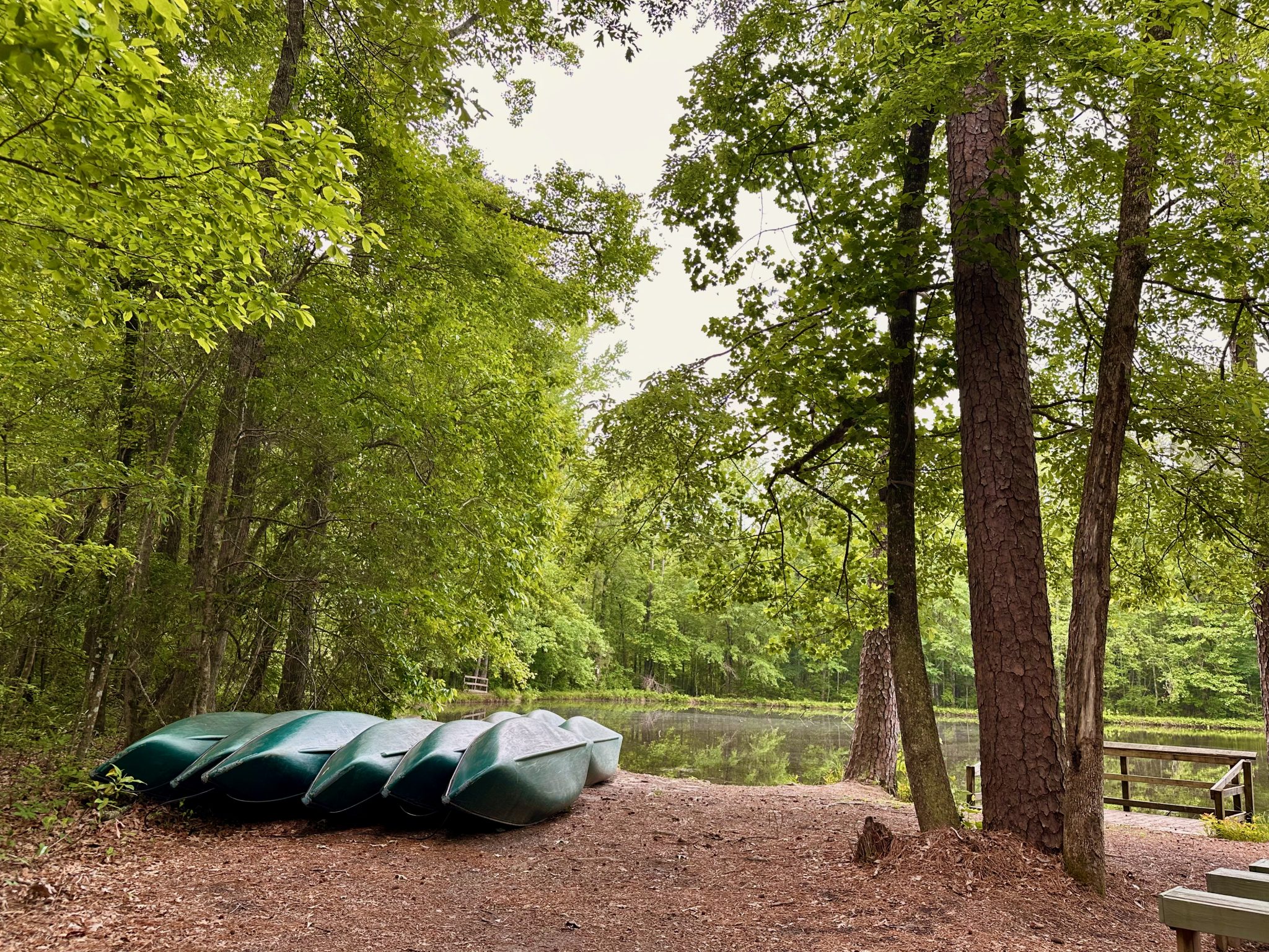 Fishing and Hunting Heritage Preserved Through the Alabama Wildlife ...