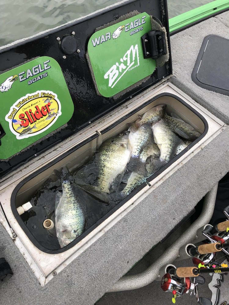Crappie Rules: Break the Rules for Winter Fishing Success
