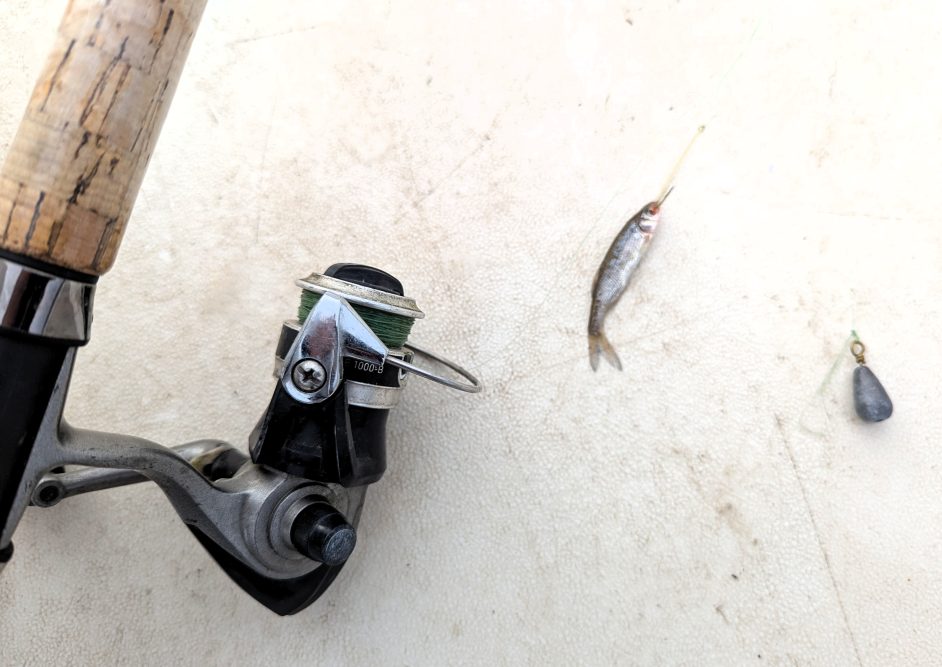 A Crappie Guide’s Tactics for Winter Live Bait Fishing, by Terry ...