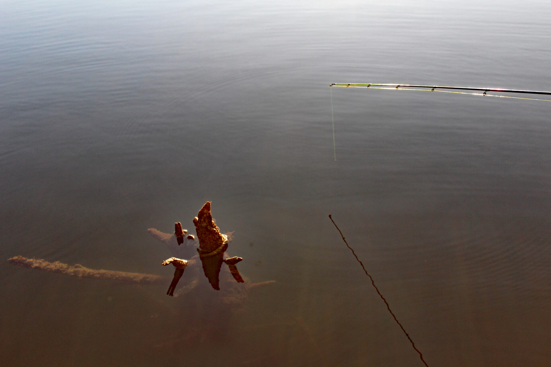 Table Rock Crappie Secrets | CrappieNOW